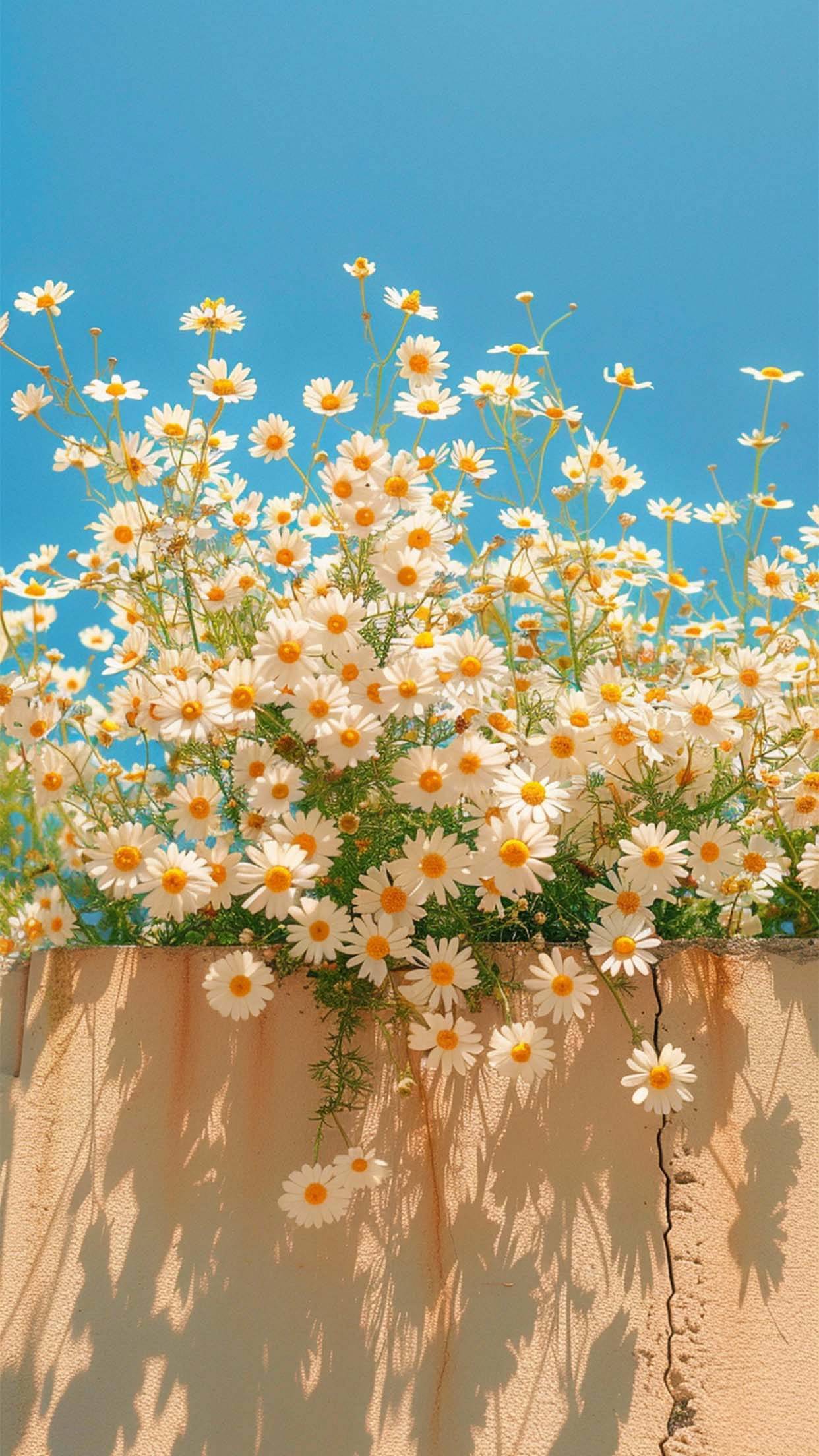 模特换衣-kontext - RunningHub ComfyUI Workflow